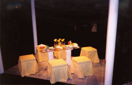 Marci Hedegard - Set Designs