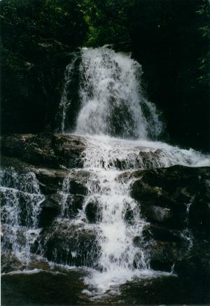 A waterfall looking upwards