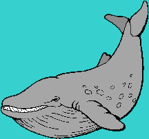 Classification of Cetacea Modified from McKenna & Bell (1998) and ...