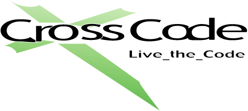 Cross Code Pictures