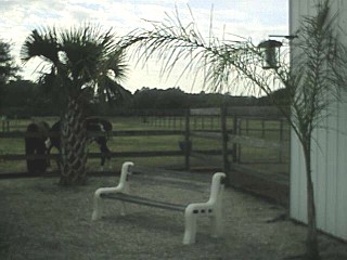 Diamond D Equine LLC