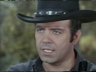 1000+ images about The Cartwrights on Pinterest | Pernell roberts ...