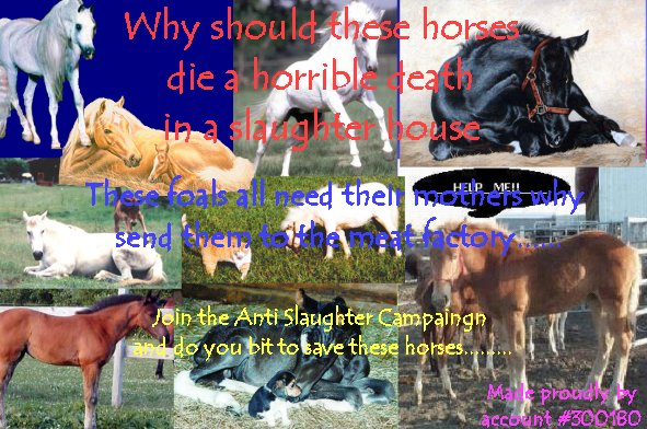 img* crc='htt*p://www.angel*fire.co*m/freak/h*orseyan*gel/Antisla ...