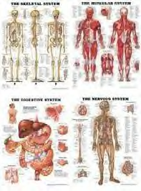 Everyone has a system, yes? Yes! Well, actually, everyone has several, and here are the links ...