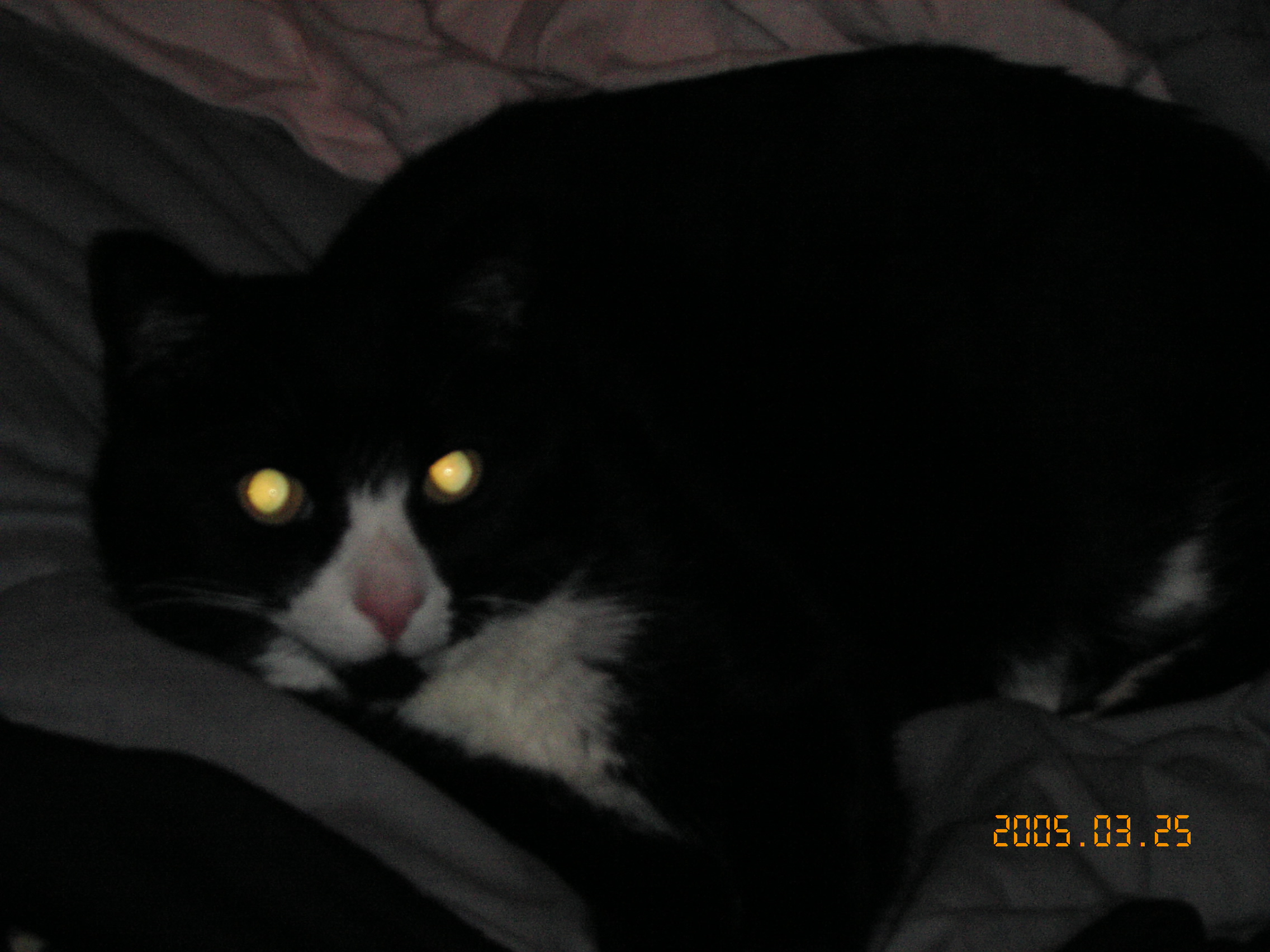 View Full-Size Image