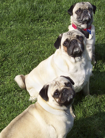 View Full-Size Image