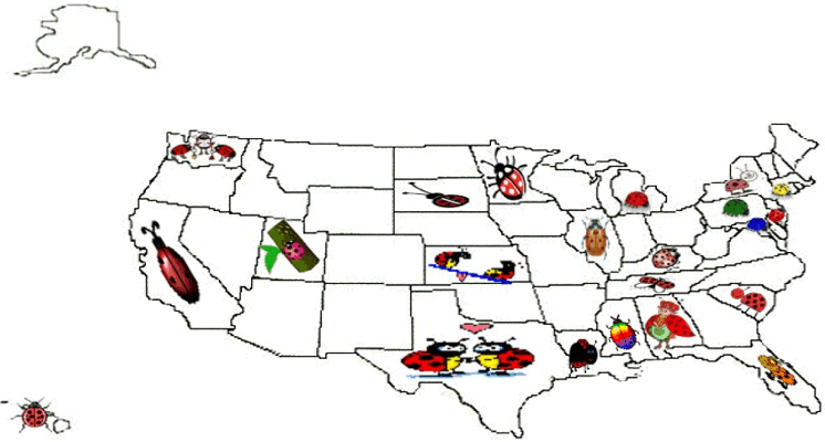 Georgiana's Lady Bugs Map