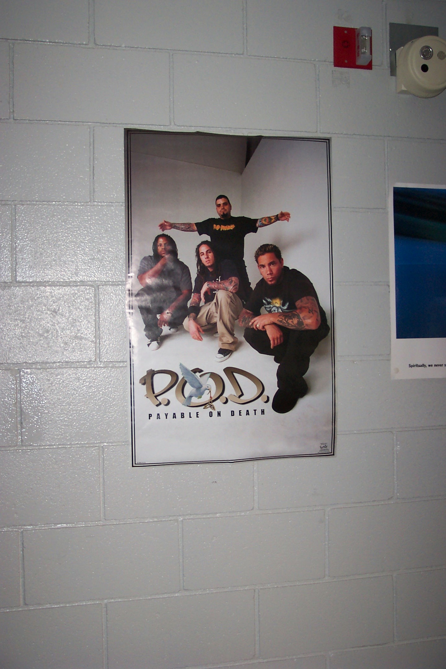 This is my roommate's P.O.D. poster. For those of you who are like me ...