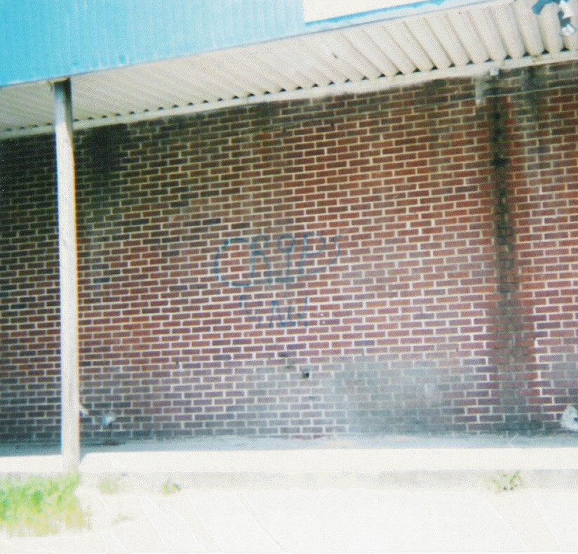 ROLLIN' 60's NEIGHBORHOOD CRIPS