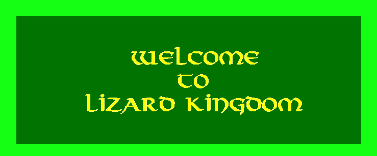 Welcome to Lizard Kingdom
