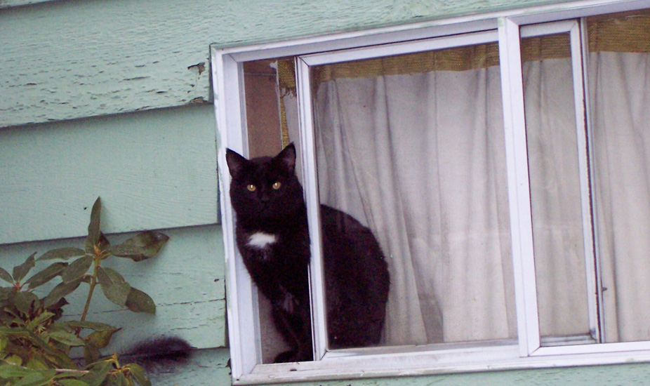 Album of random Shit, part 2