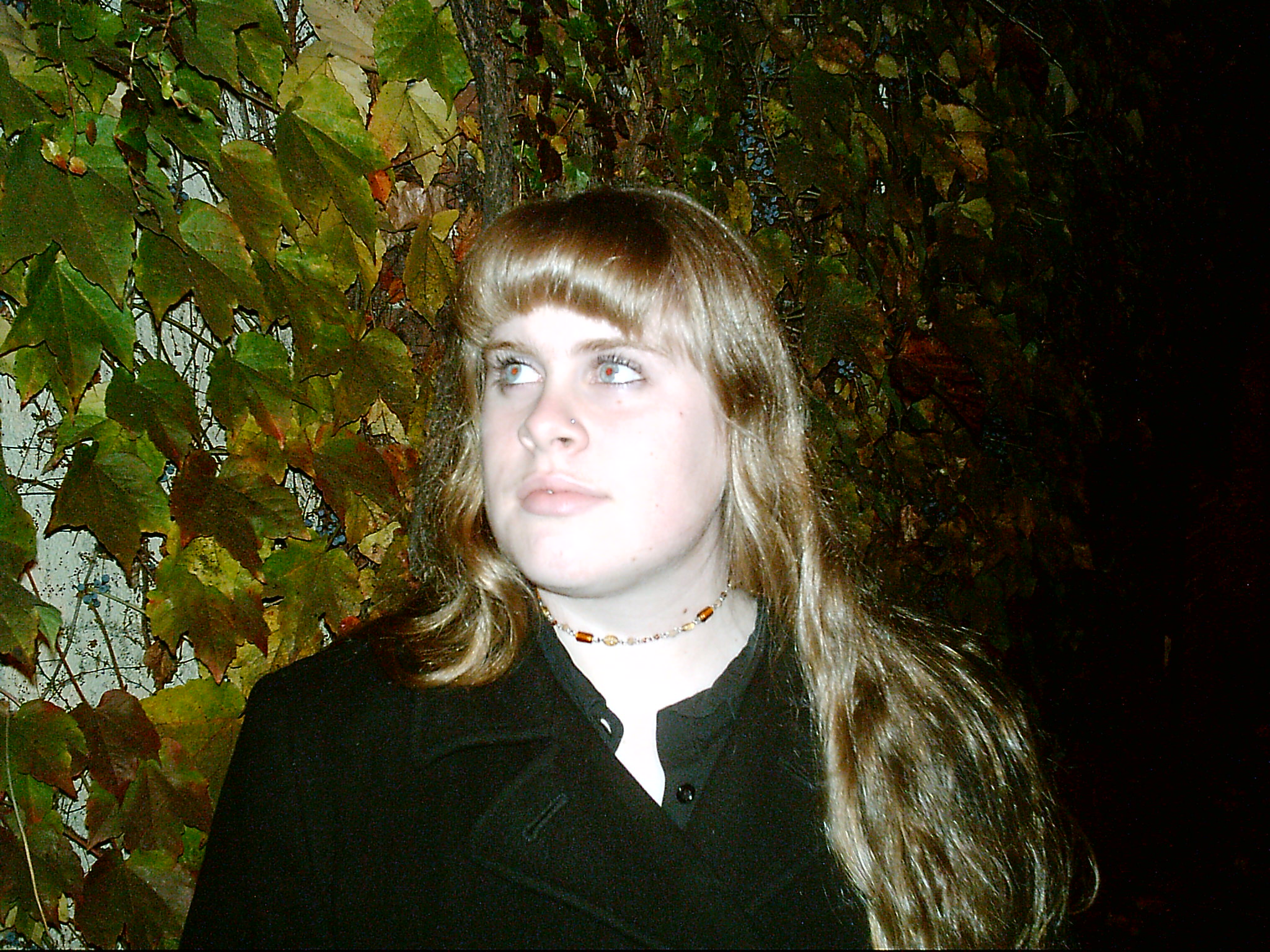 View Full-Size Image