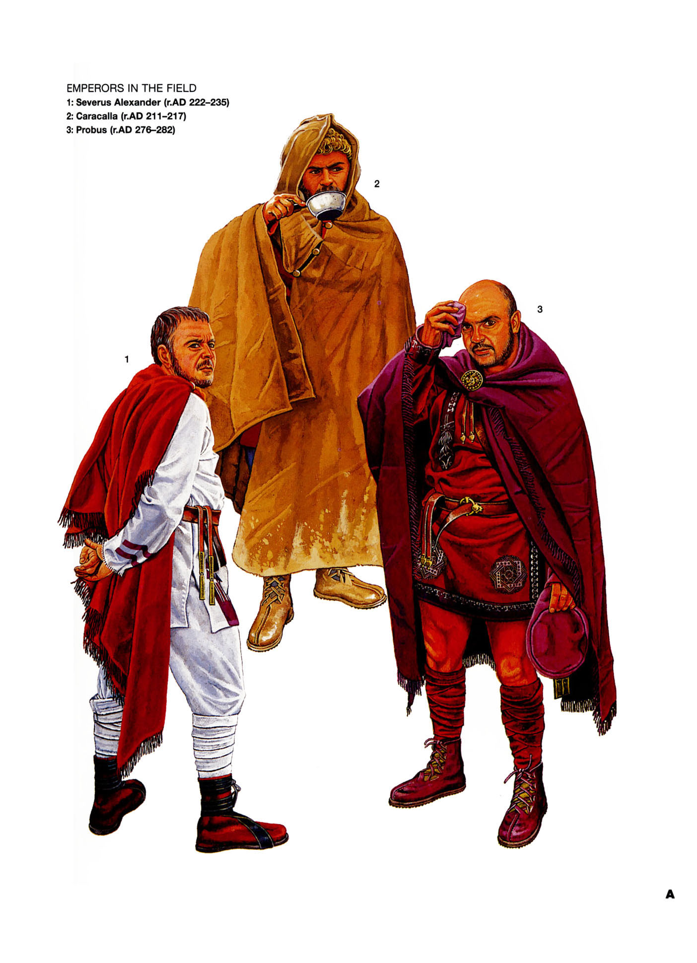 Print Photos | View Full-Size Image