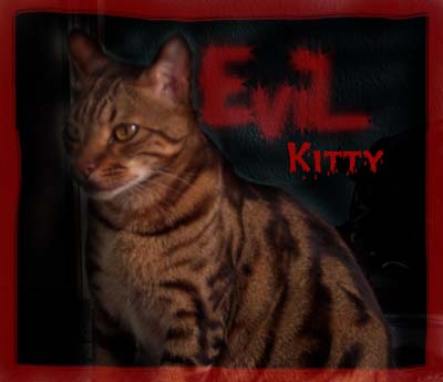 This first pic is blue! I think I'll keep adding pics of him in ...