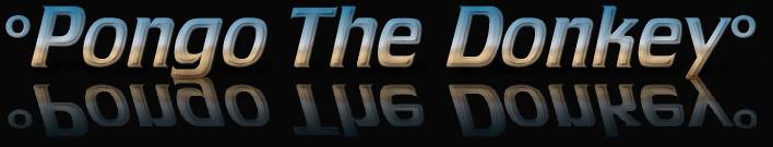 Don't Feel Bad If All This Random Junk Slows Your Computer.