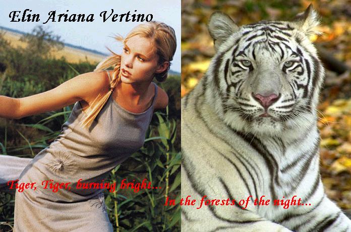 The cry of the tiger