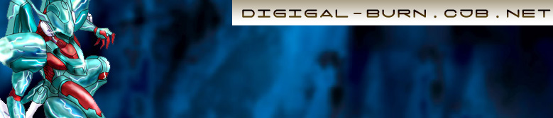 D i g i t a l-B u r n