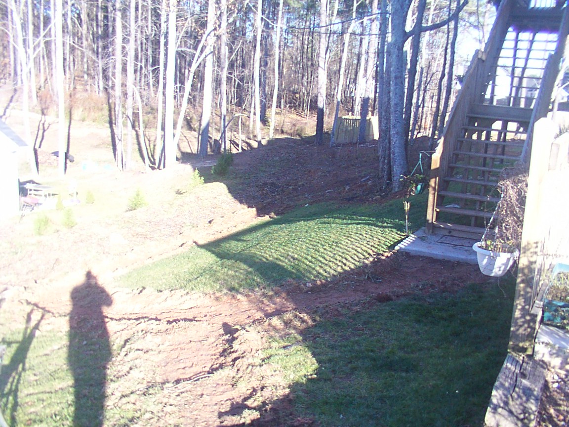 View Full-Size Image