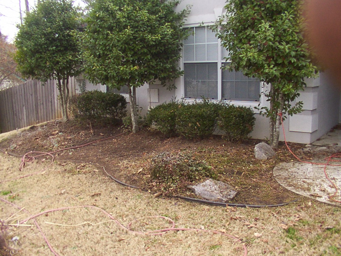 View Full-Size Image