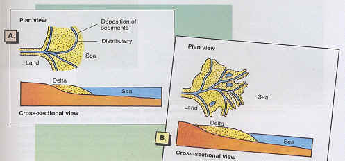 Distributaries Diagram