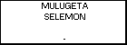 The genealogical tree of MULUGETA SELEMON