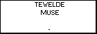 The genealogical tree of TEWELDE MUSE