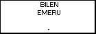 The genealogical tree of BILEN EMERU