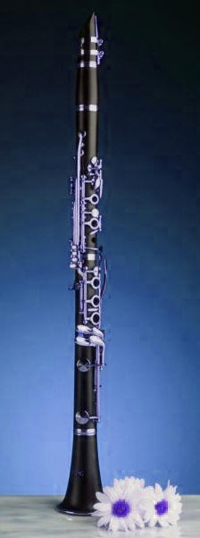 An Enchanting Evening