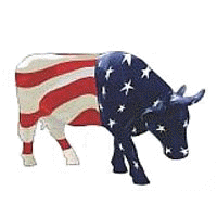 Gabrielle's Cow Collection