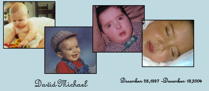 DAVID'S WEB & Peroxisomal Disorders