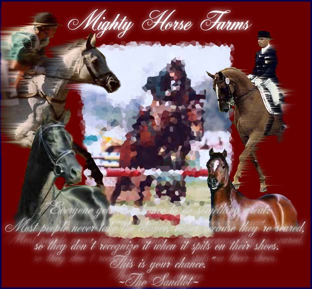 Mighty Horse Farms
