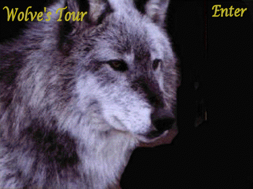 The Wolves Den Previews