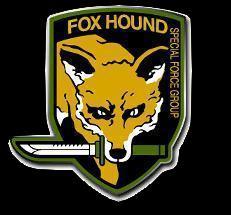 Information (metalgear-foxhound)