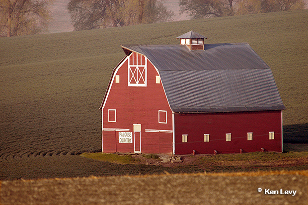 Palouse Country