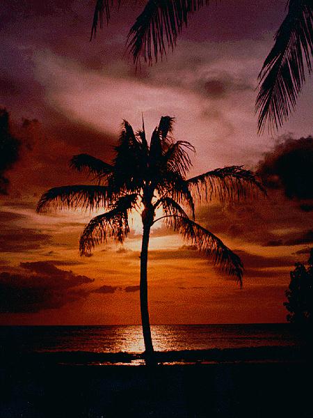 "Courage is the power to let go of the familiar."-Raymond Lindquist