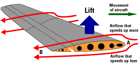 ELAD LEAD 401 Curriculum Project