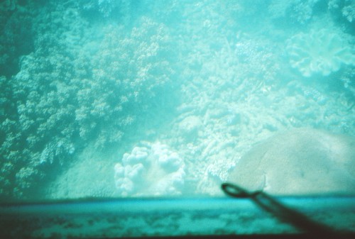 Random beach and reef pictures