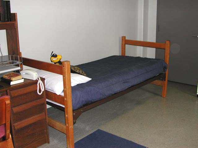 The Official Ninja Homepage: REAL ULTIMATE POWER