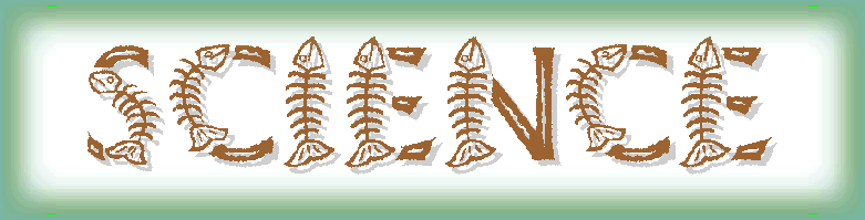 If you're not sure, reread the definition above.