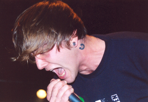 Calico System Pictures