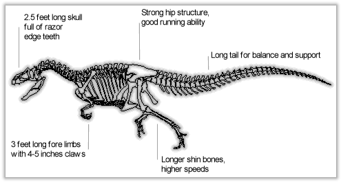 DINOSAURS: Dinosaur of the month