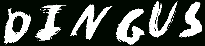 Dingus