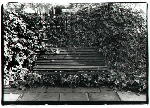 ~*lonely libertine*~ [bench]