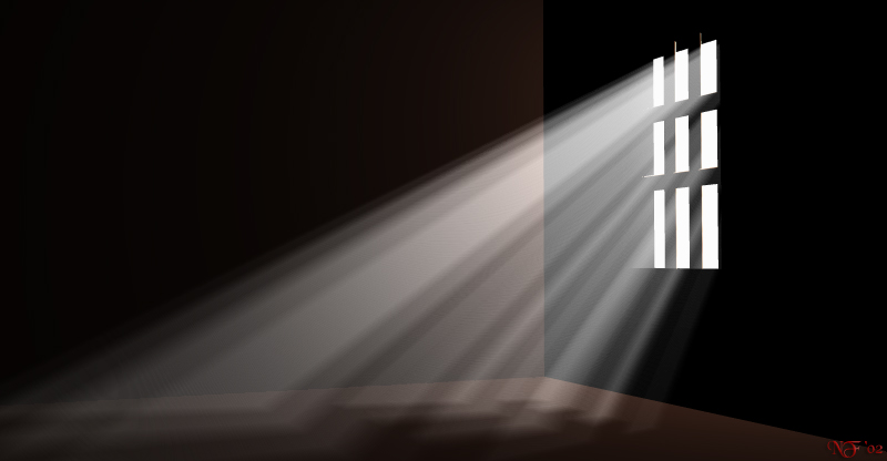 Nick Flory - Digital