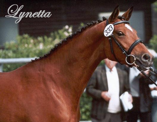 Click on the picture to enlarge.