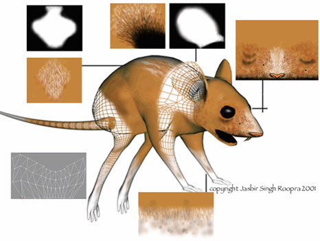 Dark Maharaja Studios