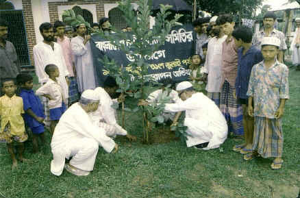 Tree_Plantation_Week