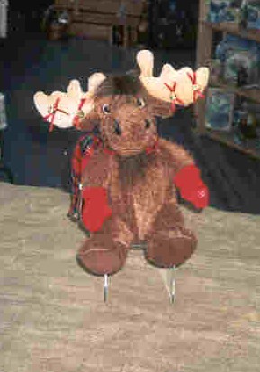 Musical Moose
