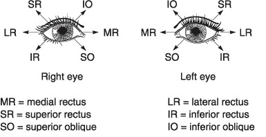 Untitled Document [www.angelfire.com]
