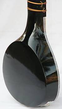 Electric Sitar & Acoustic-Electric Sitar Reviews